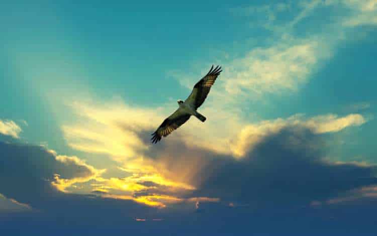 Nonduality, Non-Dualism and Duality Interesting Information